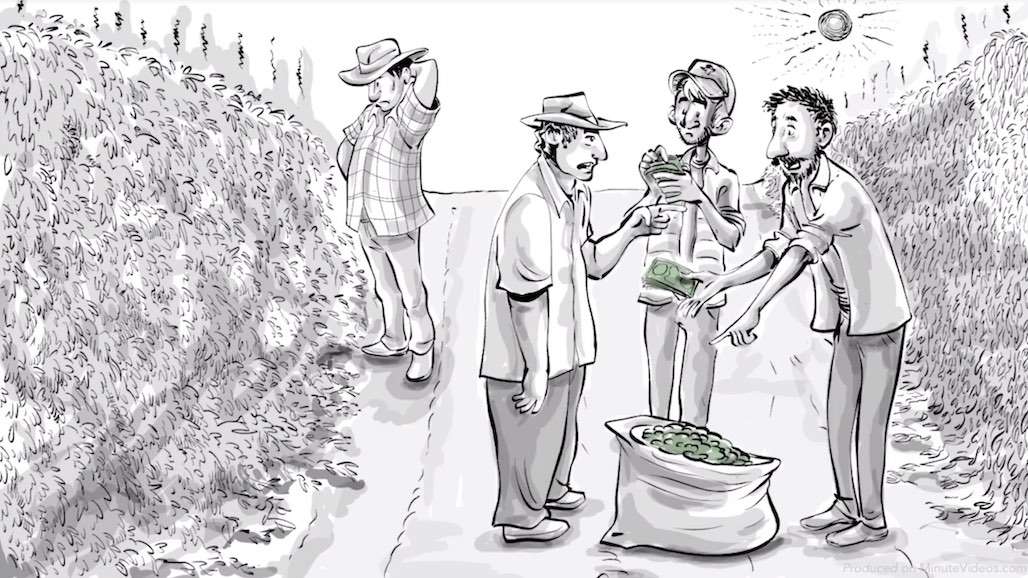 Supply and Demand: The Force Behind Your Cup of Coffee - Sprouts ...