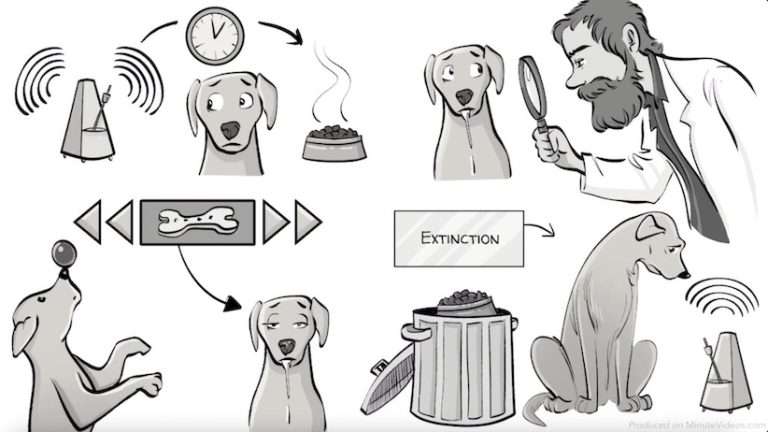 Pavlov’s Classical Conditioning - Sprouts - Learning Videos - Social ...